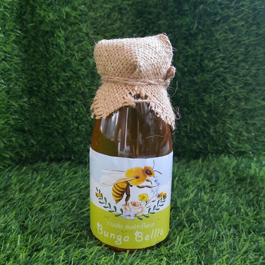 Jual Bunga Bellis Madu Multiflora 500 GR Murni Alami 100% - Premium ...