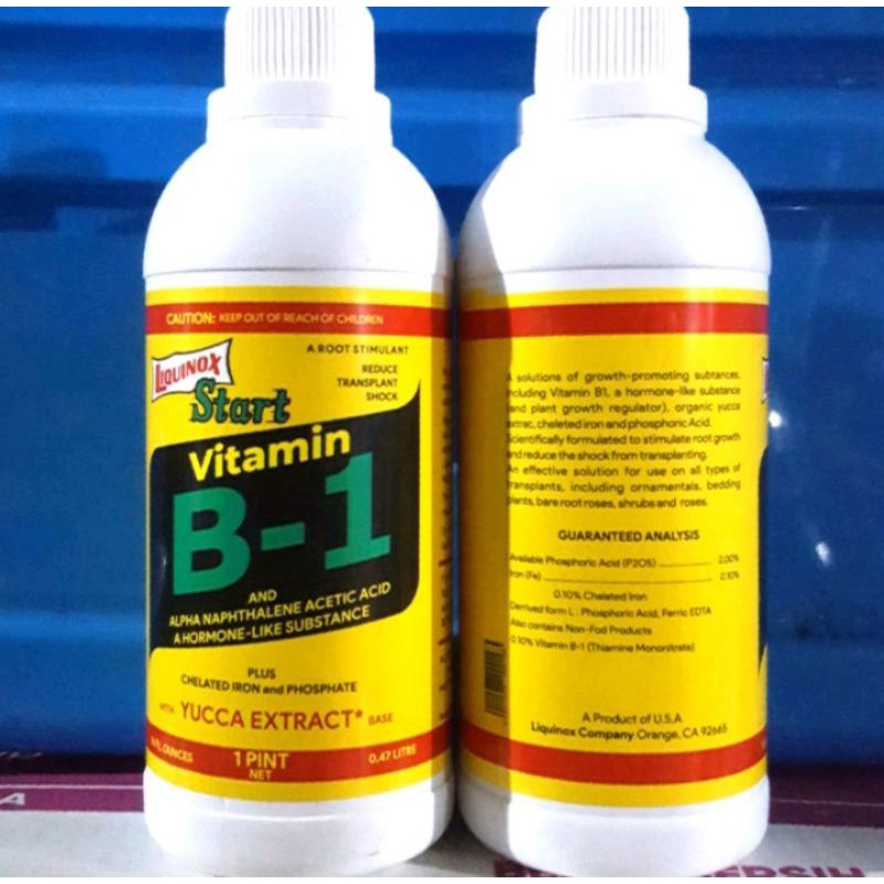 Jual VITAMIN B-1 UKURAN 1 LITER | Shopee Indonesia