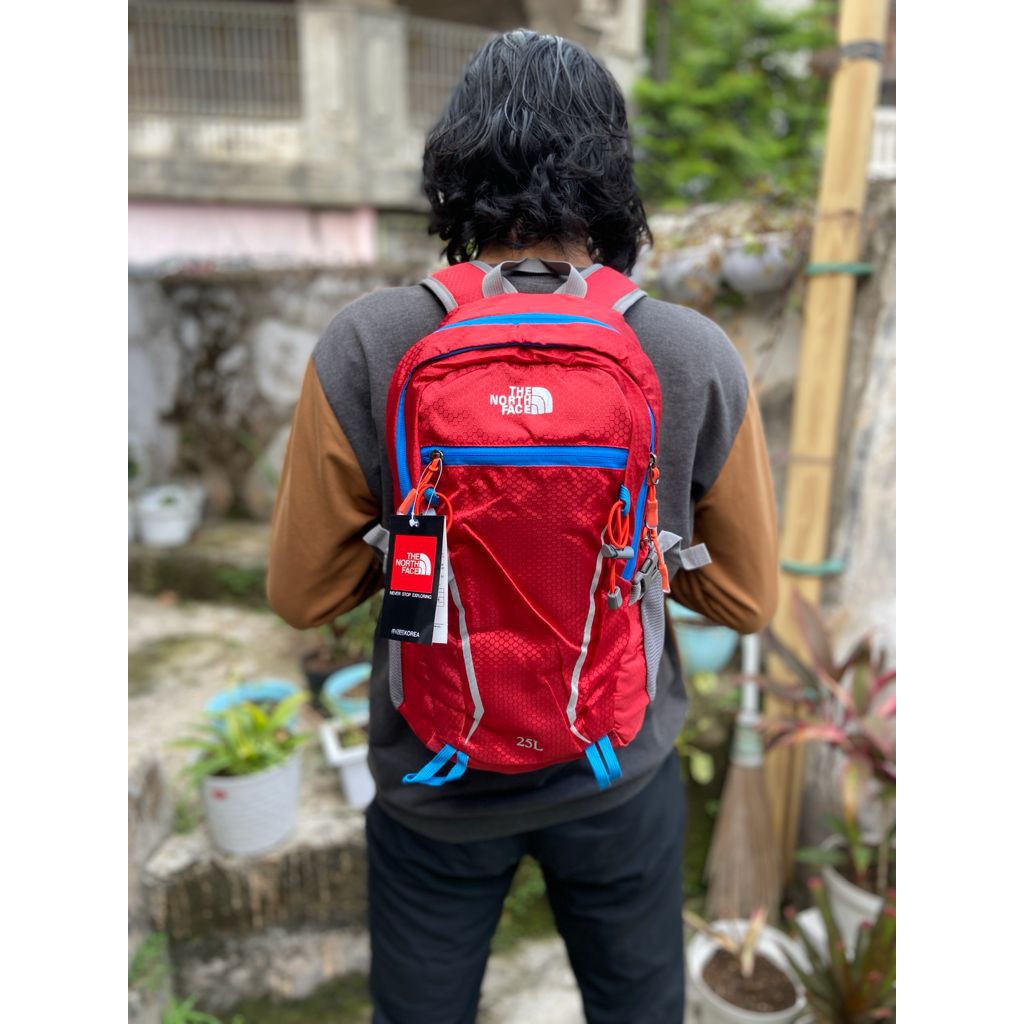 Jual Tas Gunung DayPack Summit 25 L Liter The North Face Ransel OutDoor ...