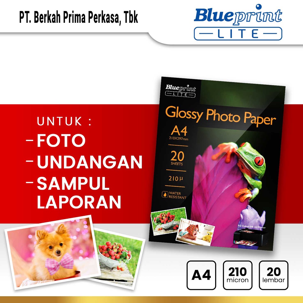 Jual Kertas Foto Glossy Photo Paper Poto BLUEPRINT Lite A4 - 10R 210 ...