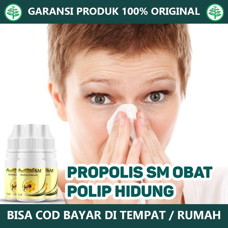 Jual Obat Polip Hidung Mampet, Rinitis, Rhinitis Kronis, Sinusitis Alami Herbal Propolis SM ...