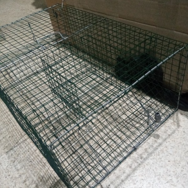 Jual Kandang Perangkap / Jebakan Tikus Massal | Shopee Indonesia