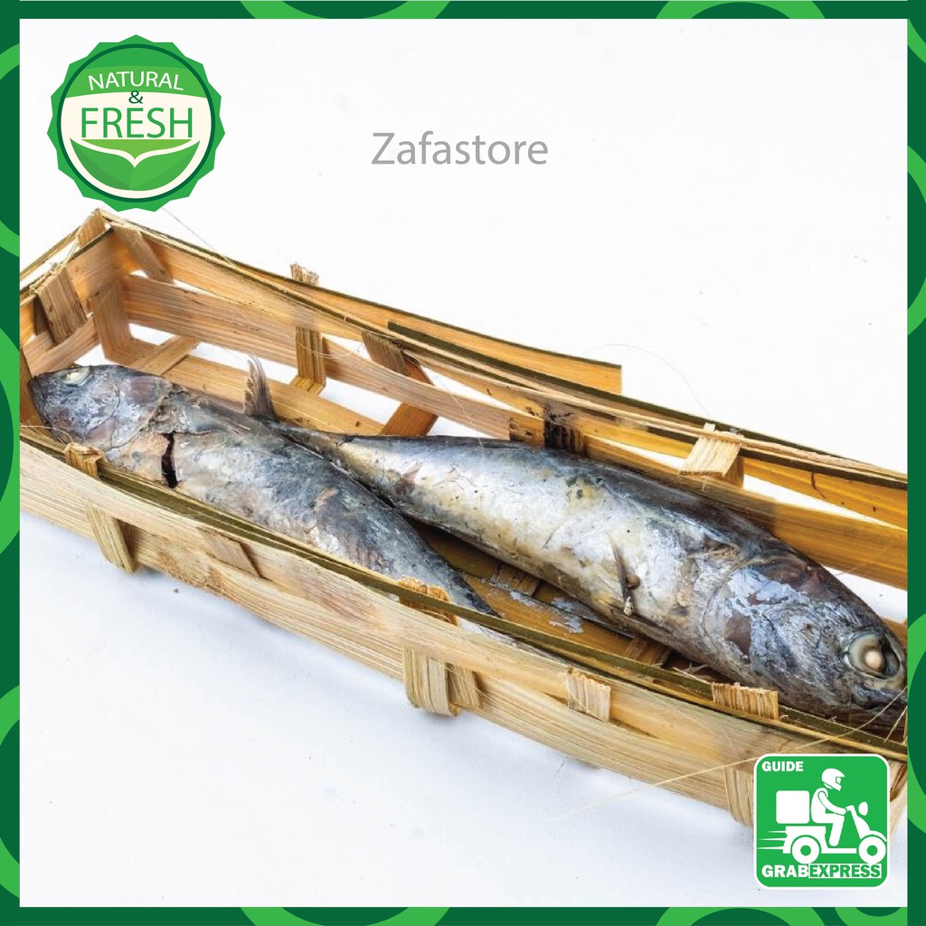 Jual IKAN TONGKOL MAKANAN DAGING IKAN SEGAR FRESH | Shopee Indonesia