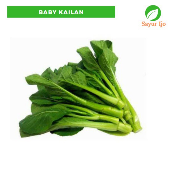 Jual Baby Kailan 230 - 250 Gram Fresh Gai Lan Baby Chinese Broccoli ...