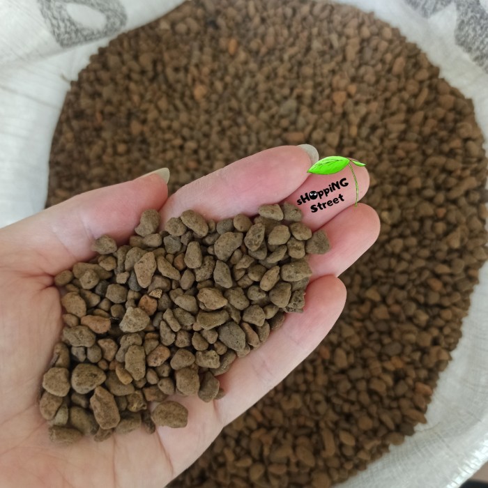 Jual PUMICE BATU APUNG 5 kg - Media Tanam Granule Bonsai Kaktus Sukulen ...