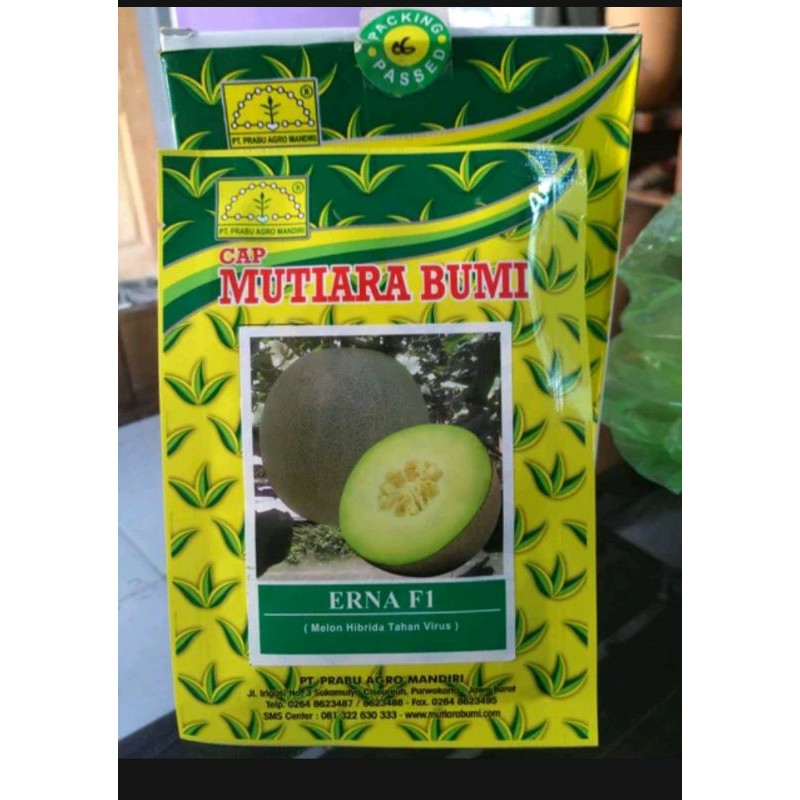 Jual melon ERNA original | Shopee Indonesia