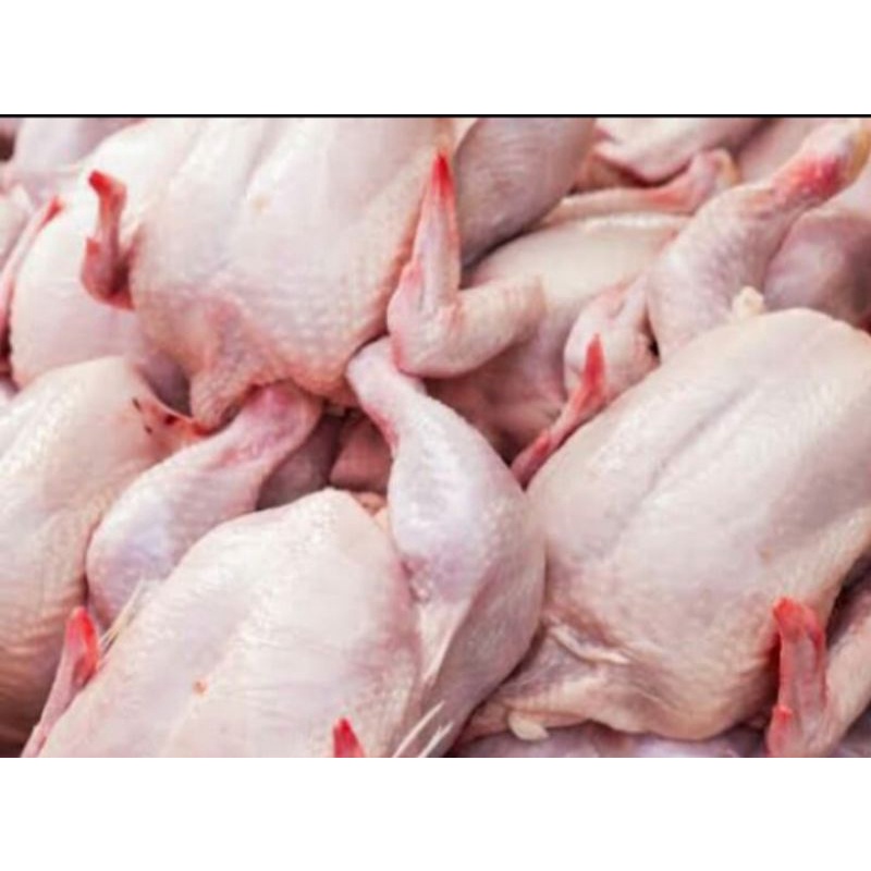 Jual daging ayam broiler utuh dijamin fresh segar | Shopee Indonesia