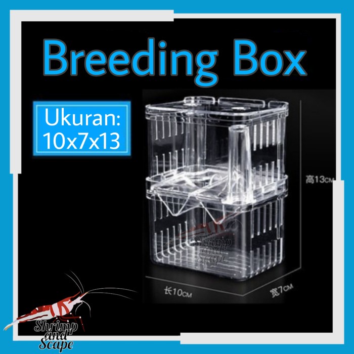 Jual Breeding Box Isolation Box Guppy Molly Jumbo Size XL Kotak ...