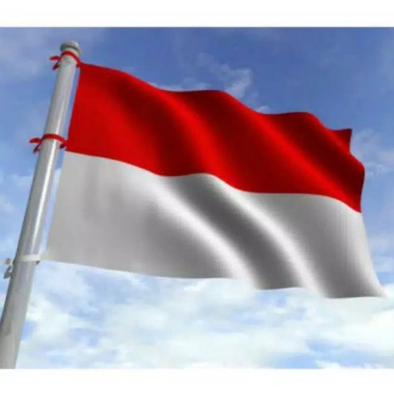 Jual BENDERA MERAH PUTIH BENDERA RI | Shopee Indonesia
