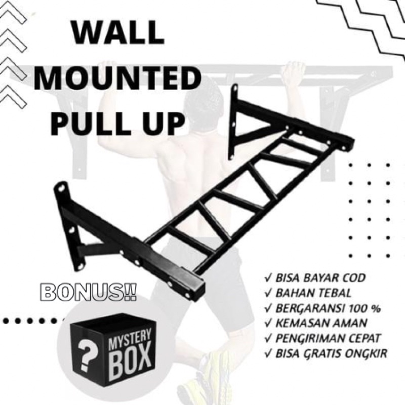 Jual Wall Mounted Pull Up Bar Fitness Rumahan gym / Pull up mongkey bar ...