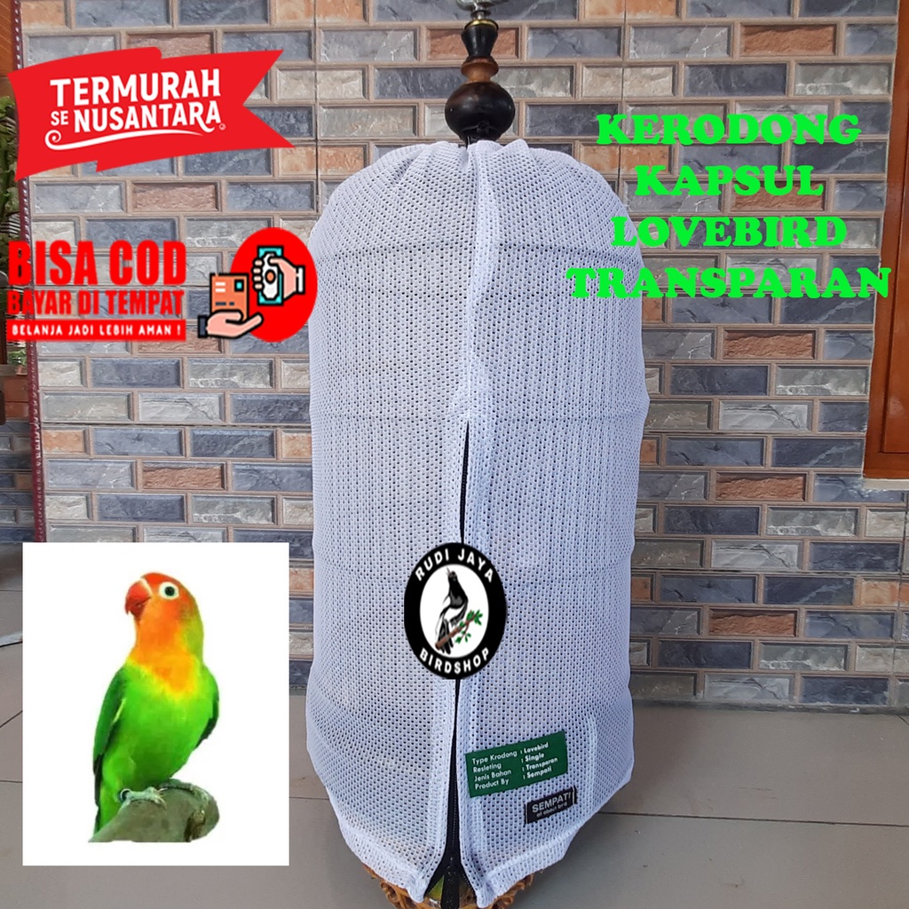 Jual KERODONG TRANSPARAN PREMIUM LOVEBIRD KRODONG TEMBUS PANDANG ...