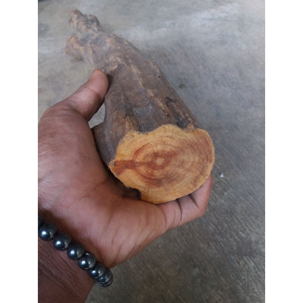 Jual bahan kayu raja merah agatis super | Shopee Indonesia