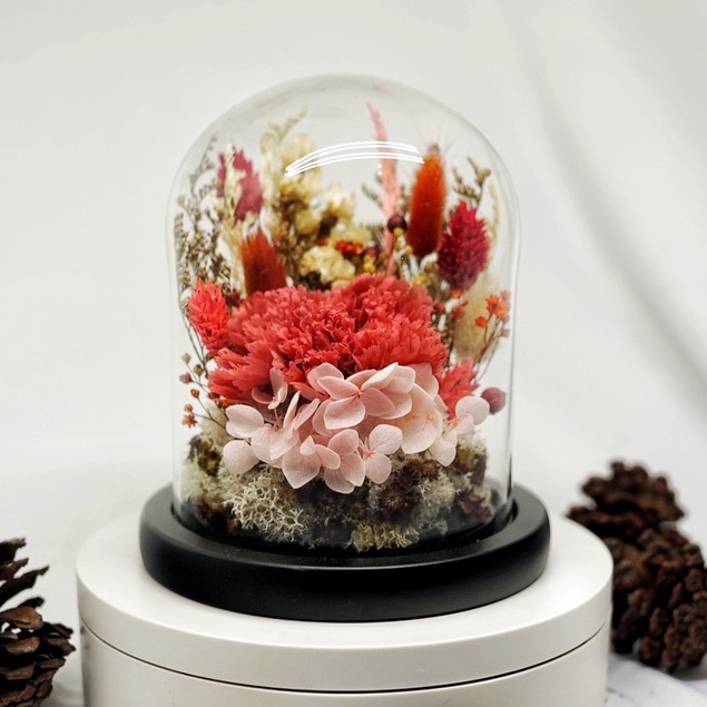 Jual Flower Glass Dome Dorana Florist Bunga Mawar / Rose Built in LED ...