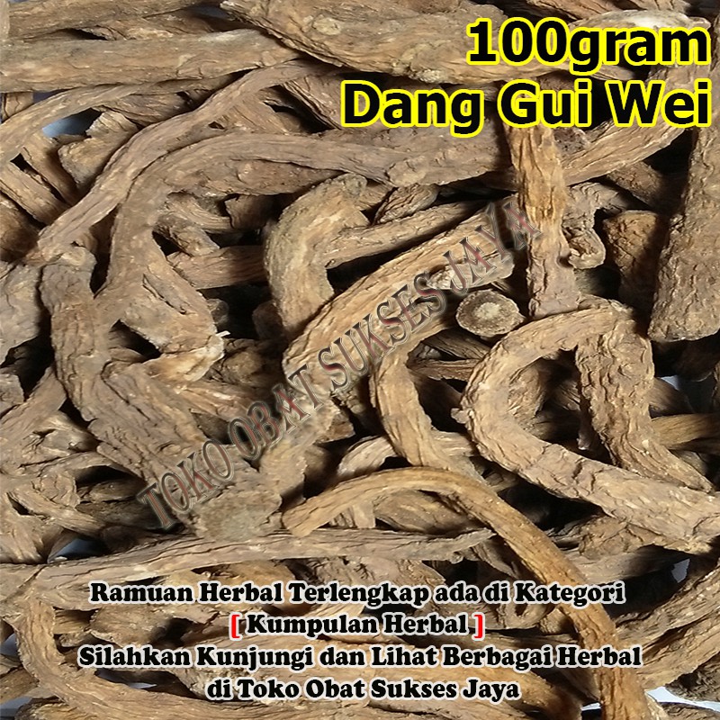 Jual [Grade A - 100gram] Dang Gui Wei - [ 当归尾 ] - Radix Angelicae ...