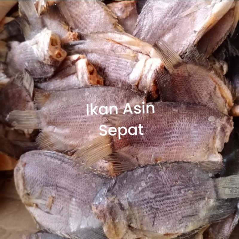 Jual Ikan Asin Sepat Super 500gr | Shopee Indonesia