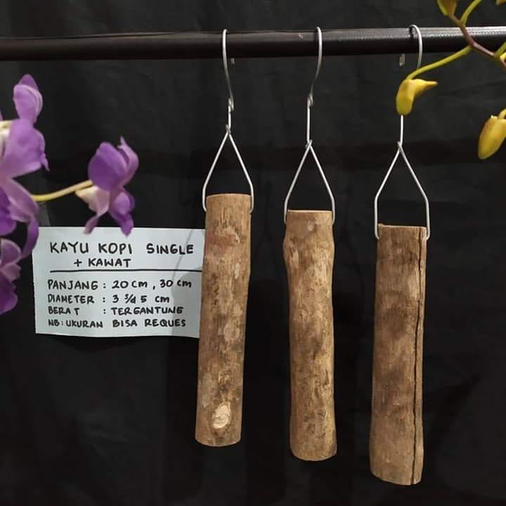 Jual Media kayu kopi | Shopee Indonesia