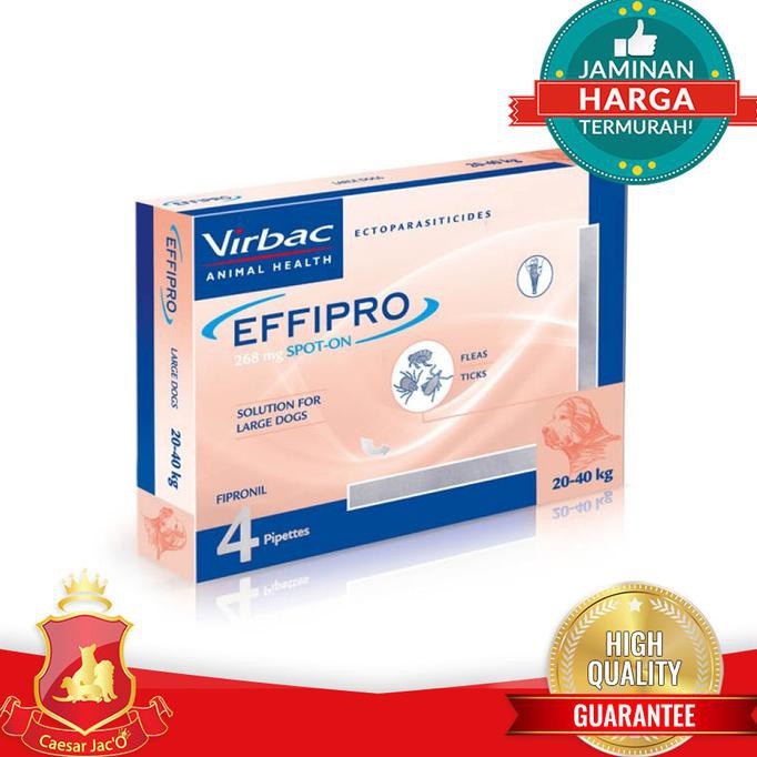 Jual Obat Kutu Anjing - Effipro Dog 20-40kg Obat Tetes Kutu Virbac ...
