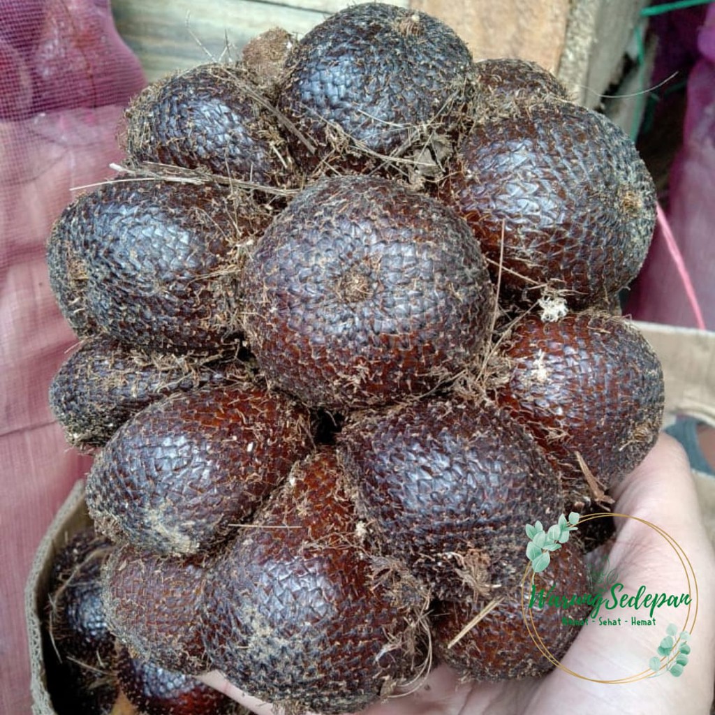 Jual Salak Pondoh per kg Salak Enak Khas indonesia | Shopee Indonesia