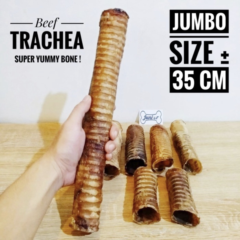 Jual Beef Trachea Dog Snack / Snack Makanan Anjing / Trakea Sapi ...