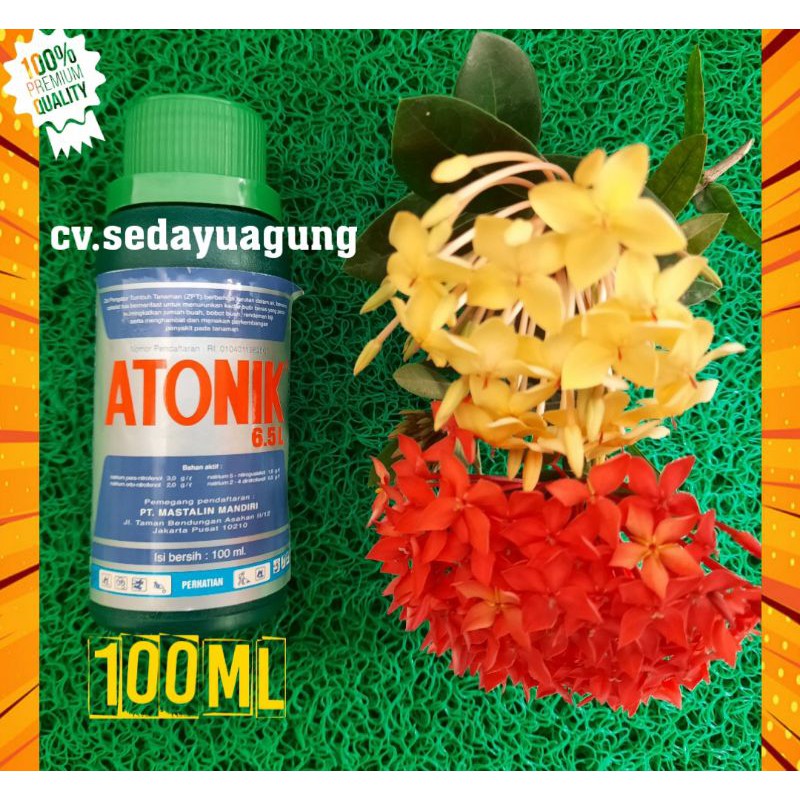 Jual ATONIK 6.0 L 100 ML PUPUK CAIR HORMON ZAT PENGATUR TUMBUH (free ...