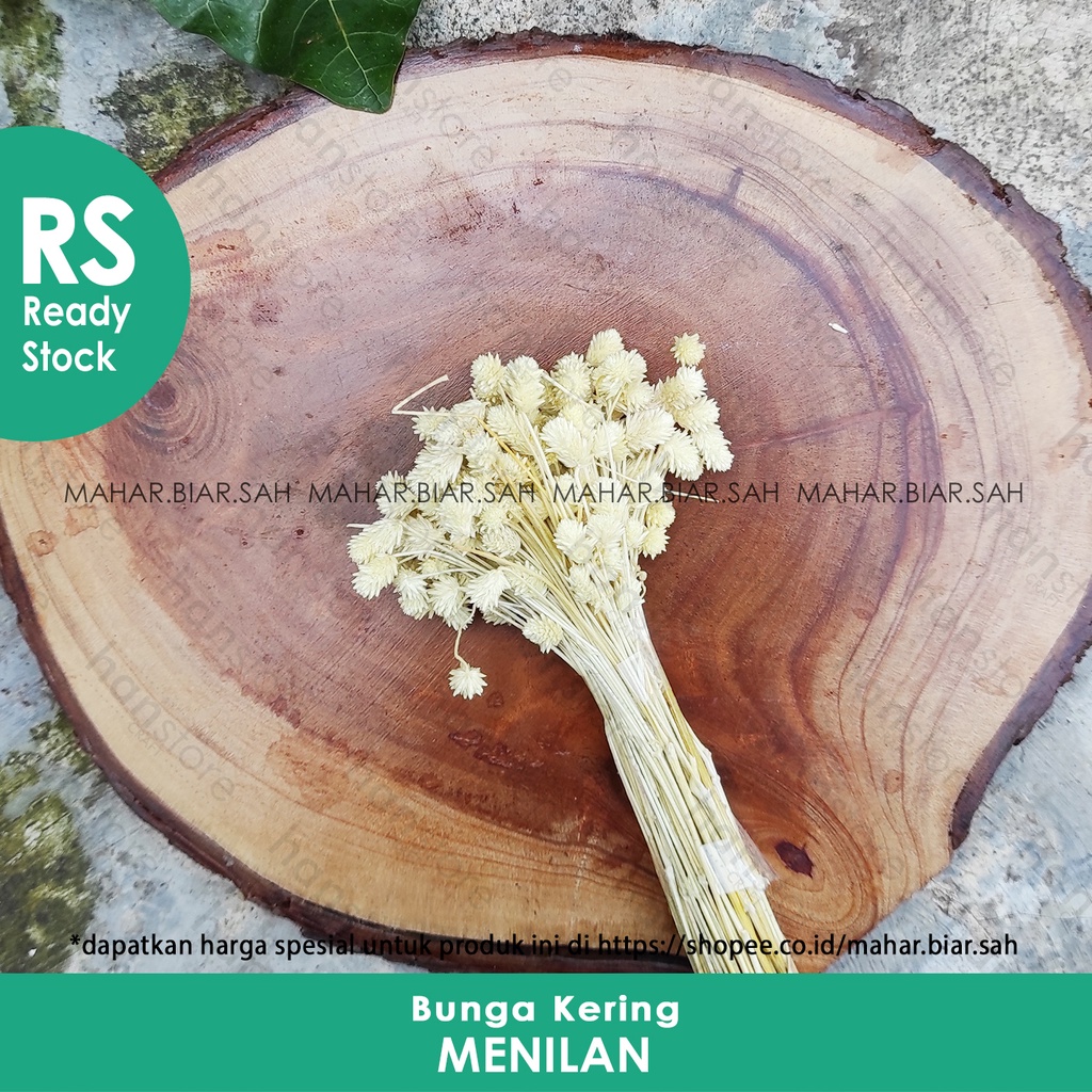 Jual RS 20 gram Bunga Kering Menilan / Printilan / Trinil / Bunga ...