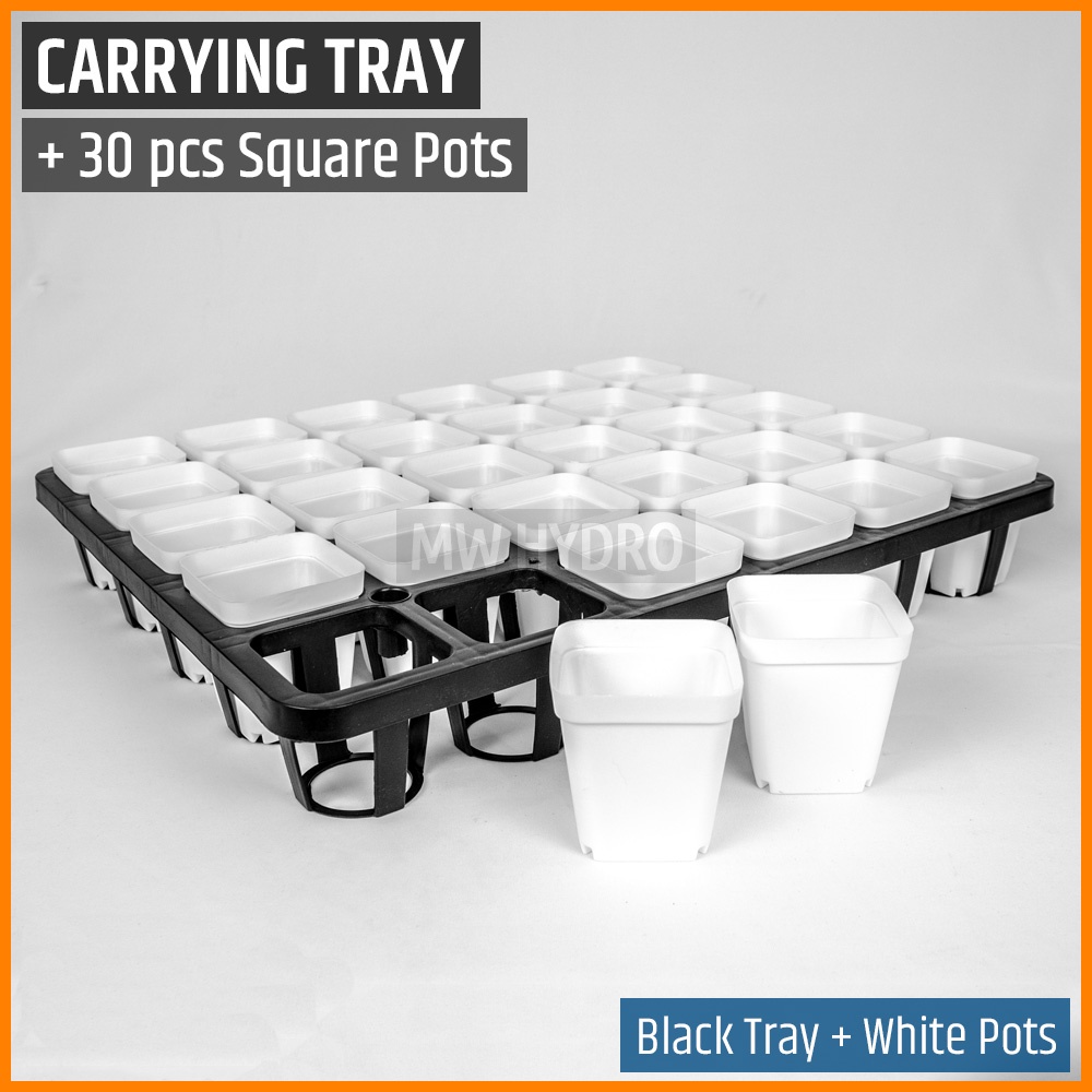 Jual Carrying Tray include 30 pcs of 7 cm Square Pot - Tray + 30 Pot ...