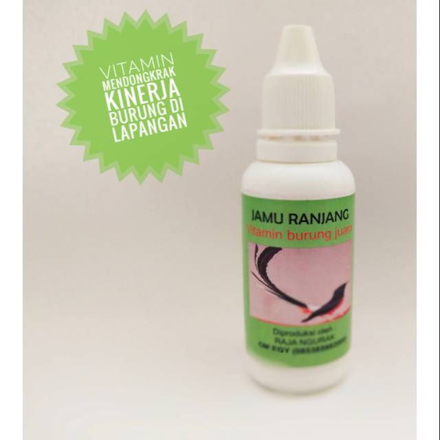 Jual Jamu ranjang vitamin burung jawara | Shopee Indonesia