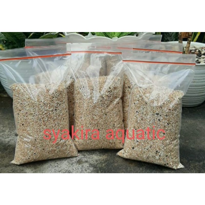 Jual pasir bali pasir pantai pasir merica untuk aquarium dan aquascape ...