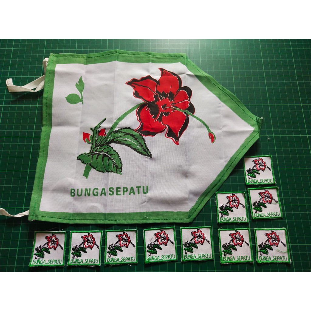 Jual TANDA REGU BUNGA SEPATU SET BENDERA PENGGALANG PUTRI PRAMUKA ...