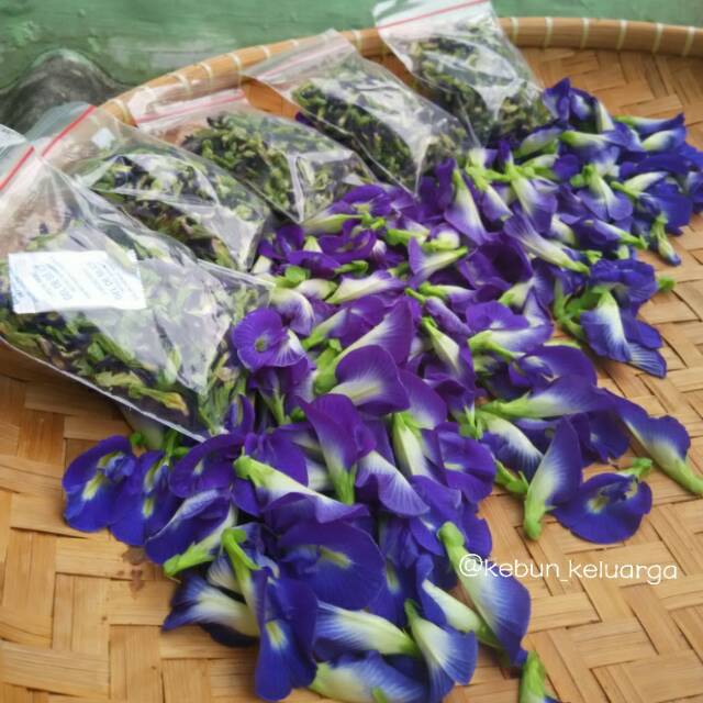 Jual Bunga telang kering 10 gram | Shopee Indonesia