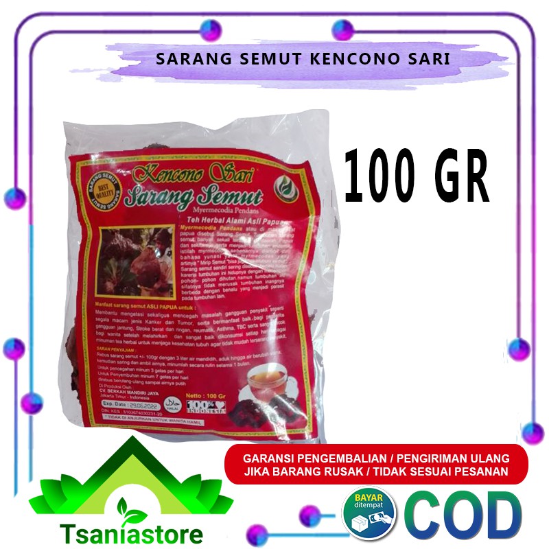 Jual Herbal SarMut Rebus sarang semut rebus papua 100 gr | Shopee Indonesia