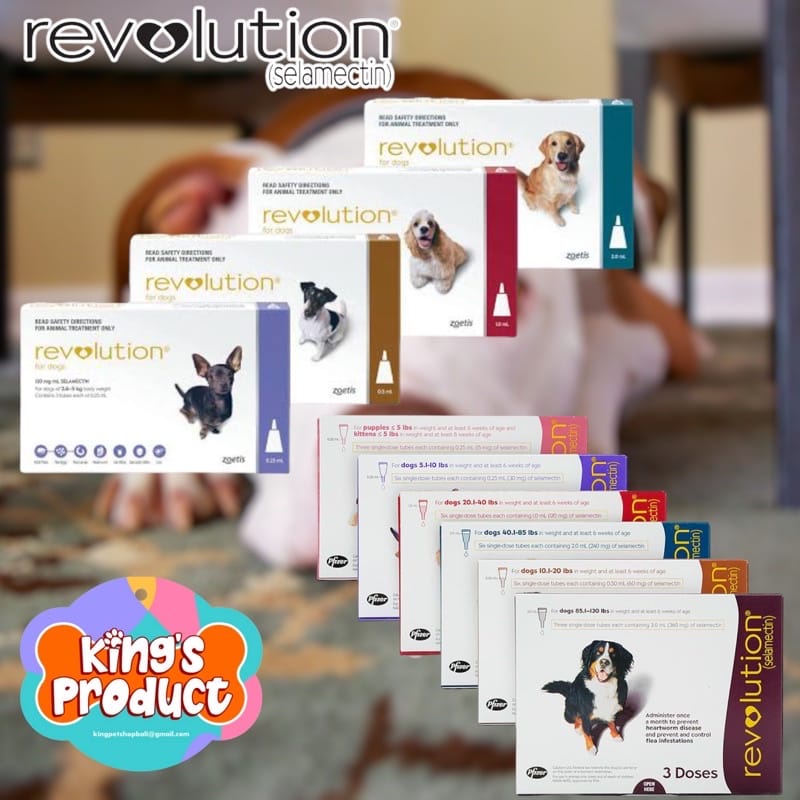 Jual REVOLUTION DOG RED (1.0ML) 120MG (PER-PCS) | Shopee Indonesia