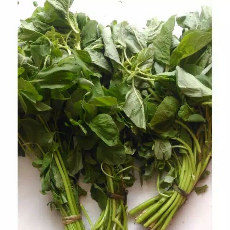 Jual BAYAM | Shopee Indonesia