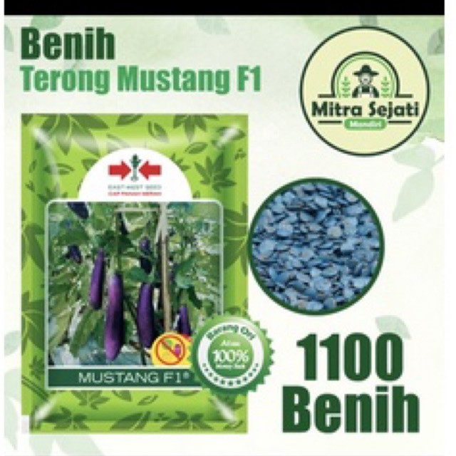 Jual Benih Terong ungu Mustang F1 1.100 Butir Panah Merah | Shopee Indonesia