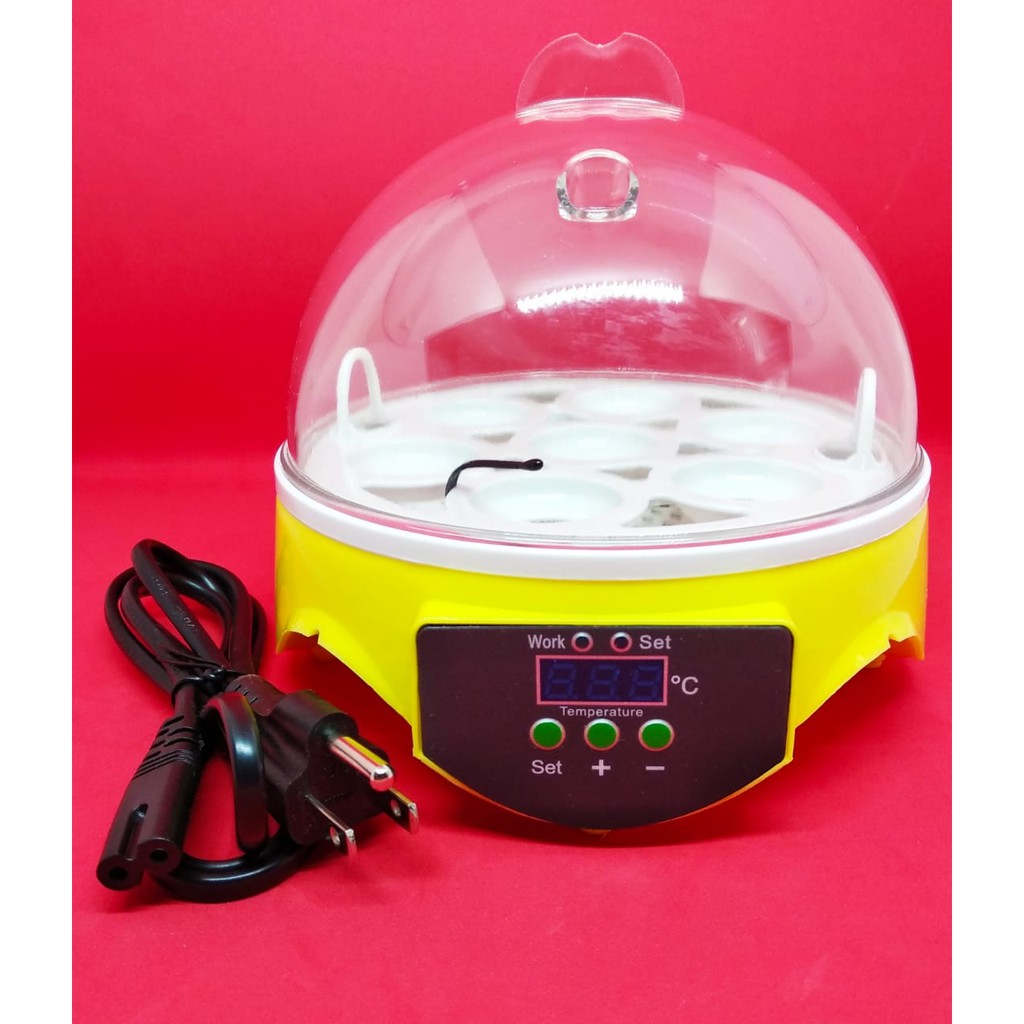 Jual Penetas Telur Mini Egg Incubator Kecil 7 Telor Manual | Shopee ...