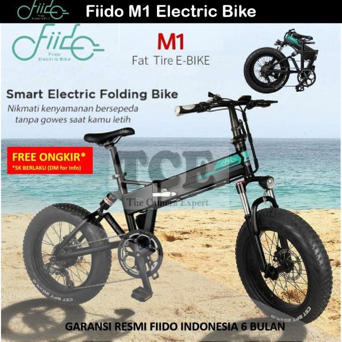 Jual Fiido M1 Sepeda Listrik 20 Inch Fat Tires 250W 7 Speeds Sepeda ...