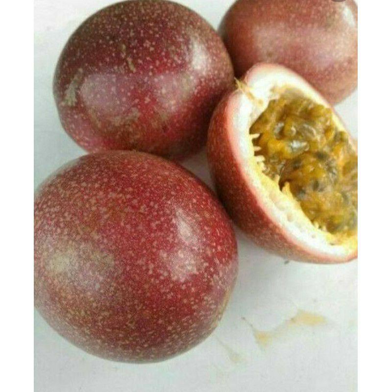 Jual Biji Buah Markisah isi 10 biji | Shopee Indonesia
