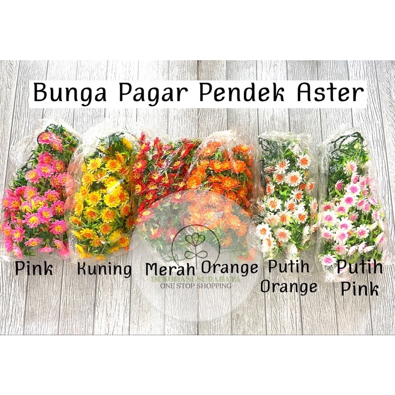 Jual Rambat Pagar / Bunga pagar Pendek 2pc Tanpa Pagar | Shopee Indonesia