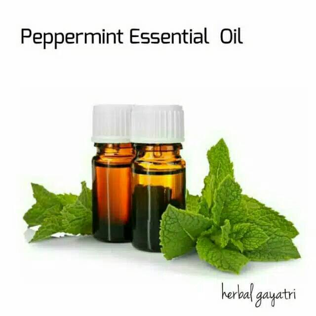 Jual Peppermint Essential Oil 10 ml | Shopee Indonesia