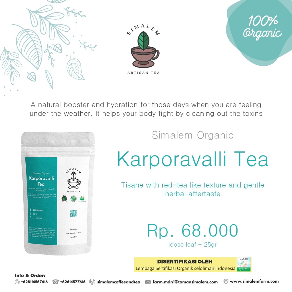 Jual Teh Organik Bangun - Bangun |Torbangun | Herbal | Teh Obat ...