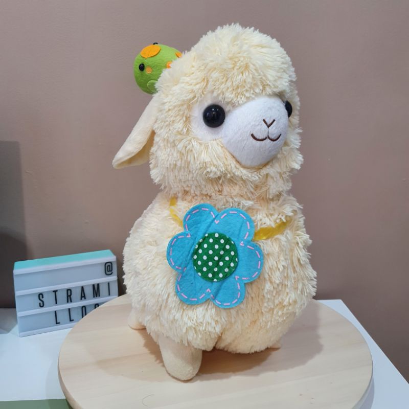 Jual BONEKA KIDS ALPACASSO ALPACA ORIGINAL AMUSE | Shopee Indonesia