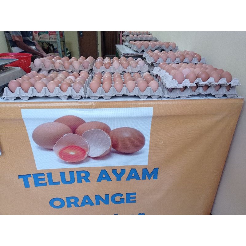 Jual Telur Ayam Negeri Omega (1 tray isi 30 butir) | Shopee Indonesia