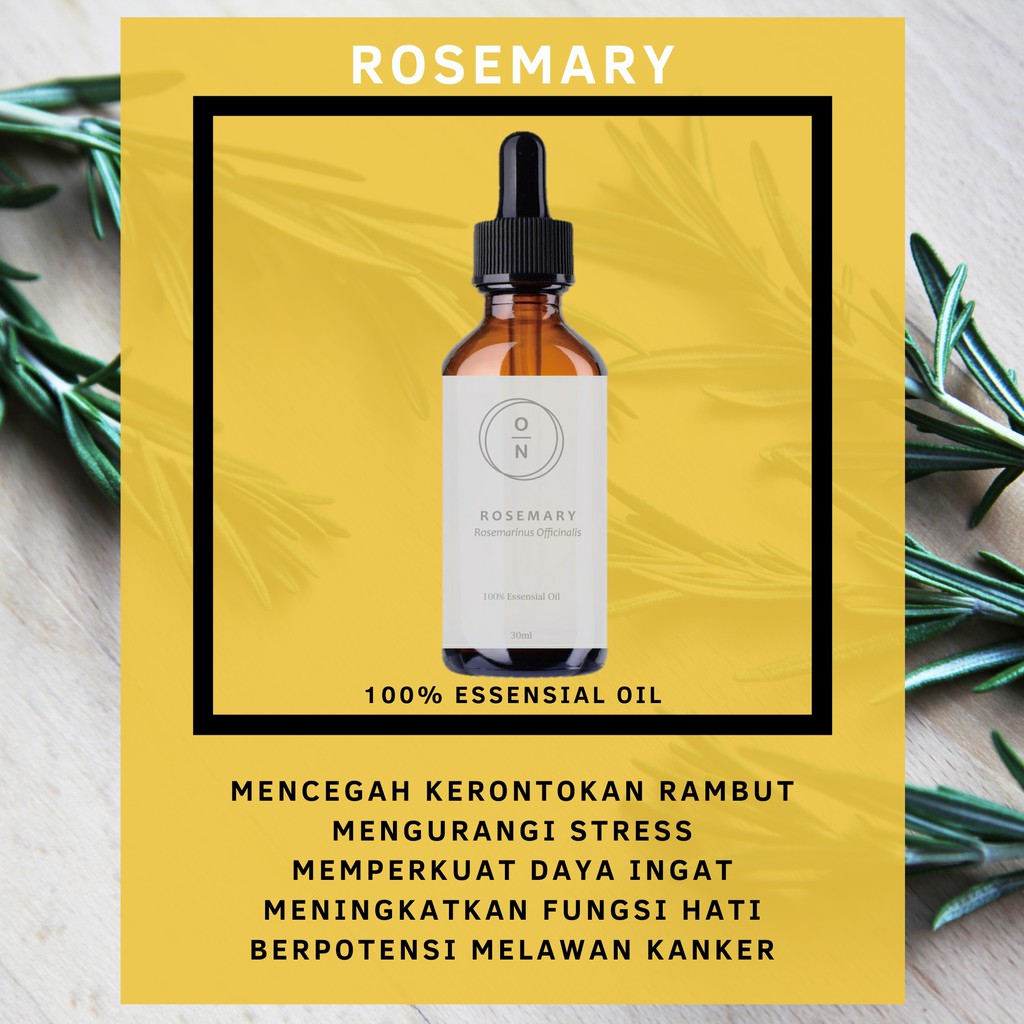 Jual Pure Rosemary Oil Hair Treatment Rambut Rontok Botak Alis Bulu ...