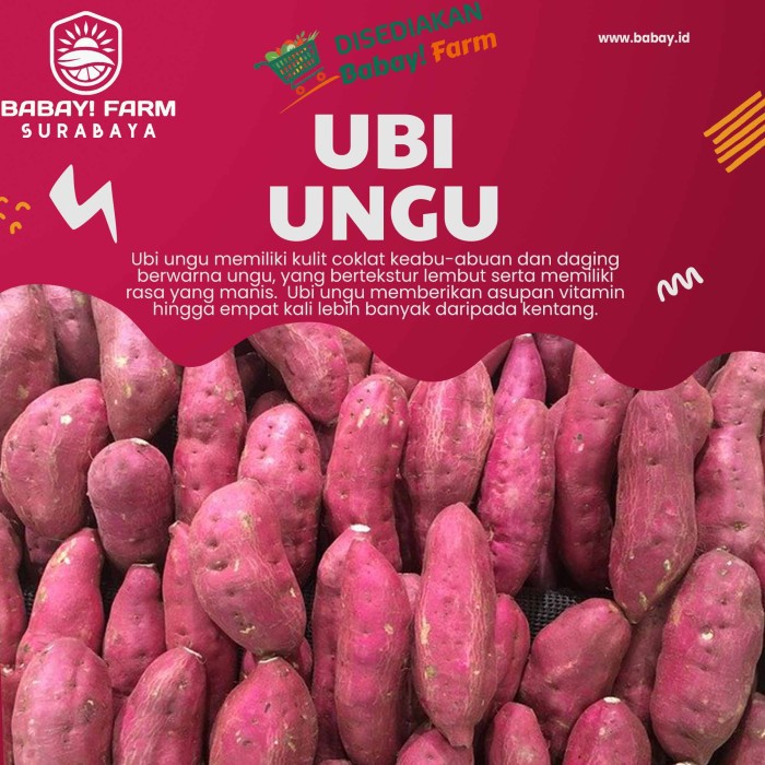 Jual Ubi Ungu Ketela Telo 500 gr / 1 kg | Shopee Indonesia
