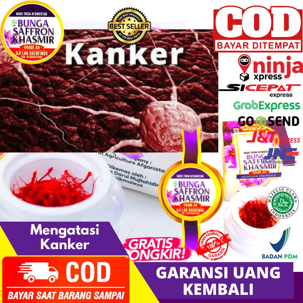 Jual Obat Herbal Kanker - Putik Bunga Saffron Khasmir 100% Asli ...