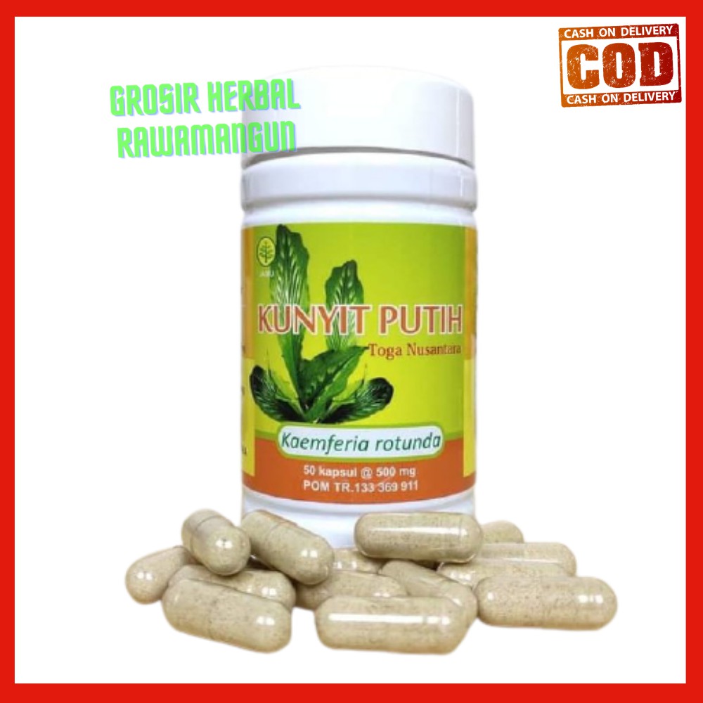 Jual Kunyit Putih Toga Herbal Anti Kanker original | Shopee Indonesia