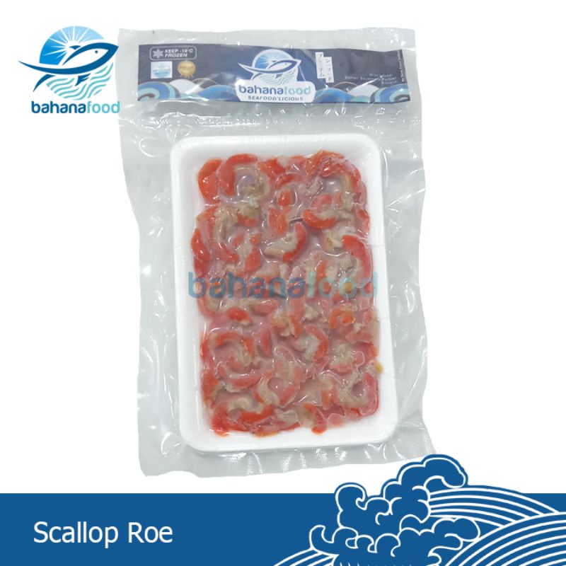 Jual Scallop Roe Frozen (Telur Scallop) | Shopee Indonesia