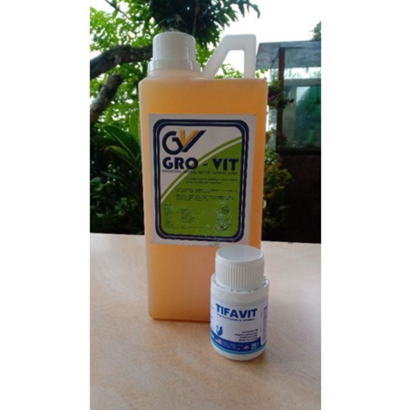 Jual Probiotik Herbal Grovit dan Multivitamin Tifavit 1 Paket | Shopee ...