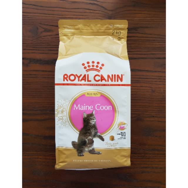 Jual Royal Canin Kitten Maine Coon 2kg, Fresh pack | Shopee Indonesia