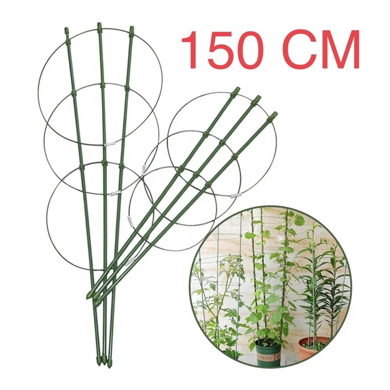 Jual Plant Support Cagak 150cm Penopang Penyangga Ajir Tanaman Tomat ...